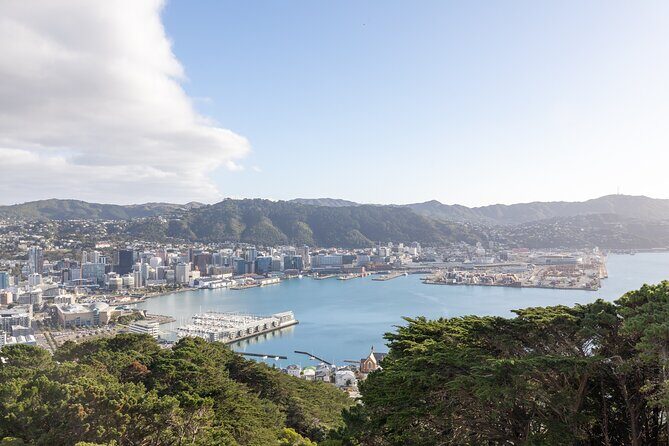 Full Day Wellington Tour - Including maoritanga - Who is this tour best for?