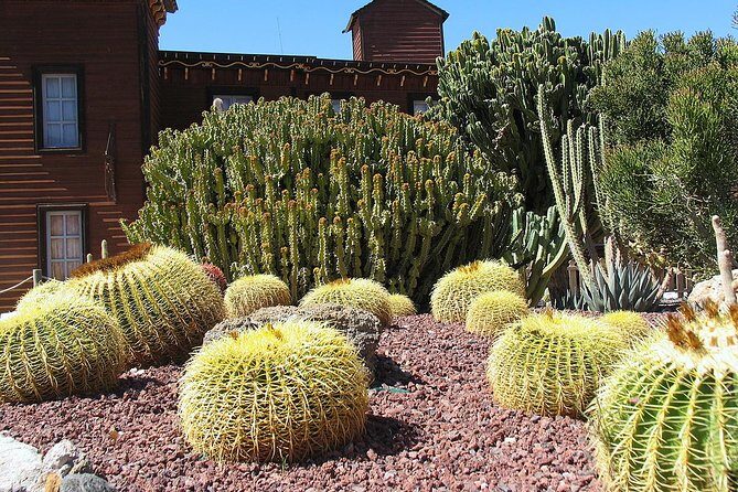 Full-Day Western Theme Park Tour of Mini Hollywood - Oasys - Value and Price Analysis