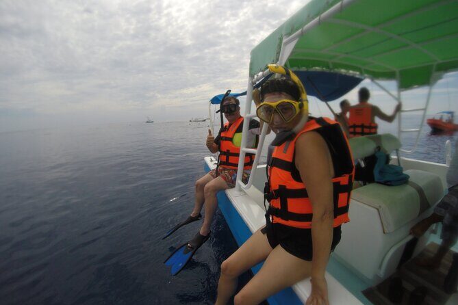 Full-Day Whale Shark Tour Puerto Morelos with Pickup and Lunch - Introduction: A Unique Marine Adventure in Cancun