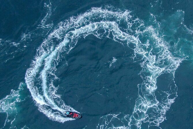 Full Day Whale Watching Campbell River - Who Should Consider This Tour?