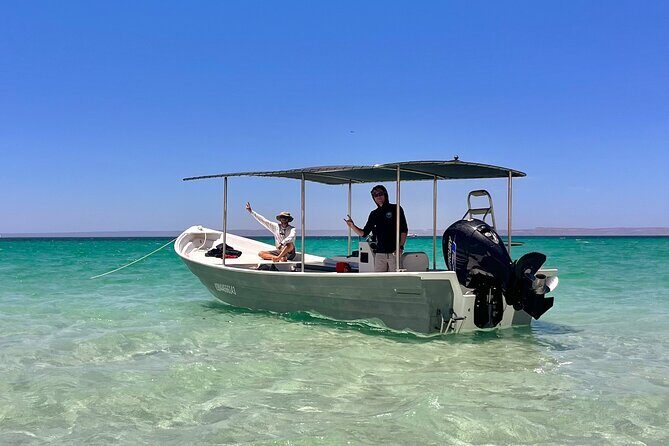 Full Day Wildlife Expedition in the Sea of Cortez - Why Choose This Tour?