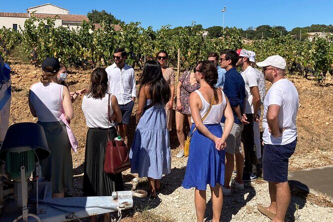 Full-Day Wine and Cheese Tour around Aix-en-Provence from Marseille - The Practicalities: Transportation, Timing & Group Size