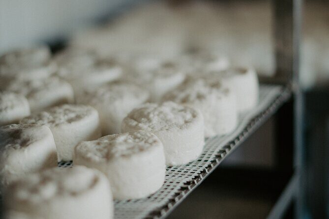 Full-Day Wine and Cheese Tour around Aix-en-Provence from Marseille - Who Will Love This Tour?