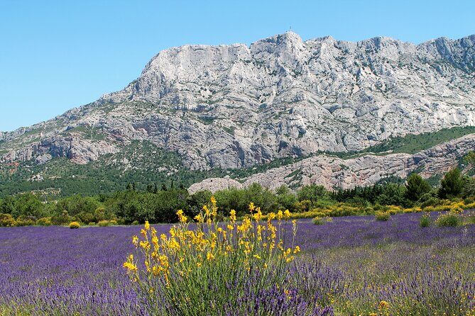 Full-Day Wine and Cheese Tour around Aix-en-Provence from Marseille - Final Thoughts