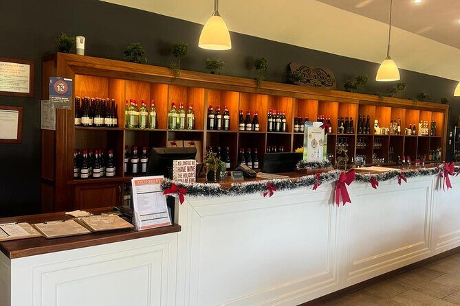 Full Day Wine Tasting Tour in McLaren Vale - Real Traveler Insights and Experiences  