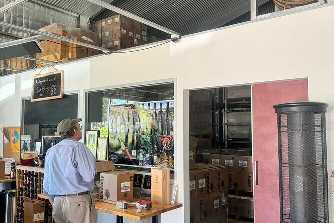 Full Day Wine Tasting Tour in McLaren Vale - Who Is This Tour Best For?  