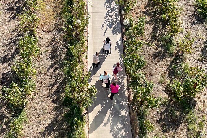 Full Day Wine Tasting Tour in McLaren Vale - FAQ  