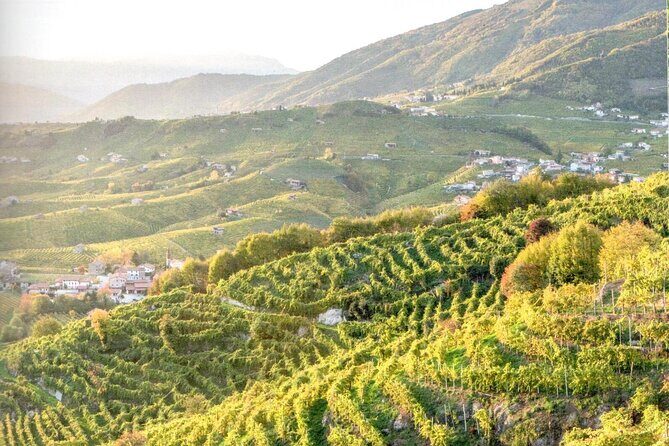 Full Day Wine Tour and Tasting in the Prosecco Region - About the Provider