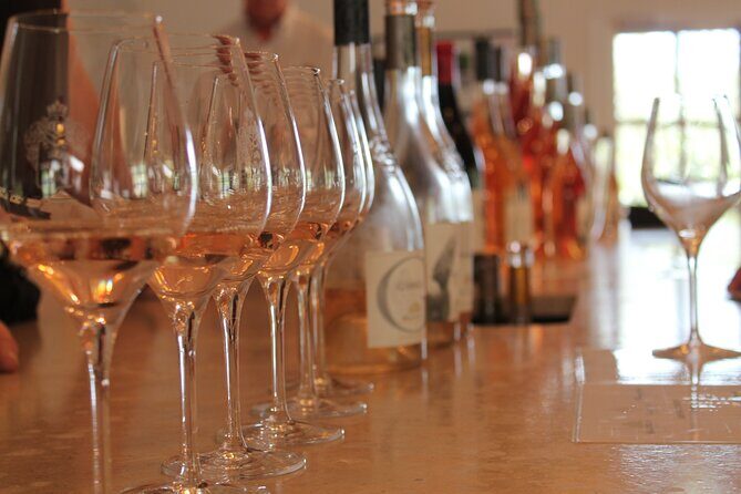 Full-day Wine Tour around Bandol & Cassis from Marseille - The Experience in Practice