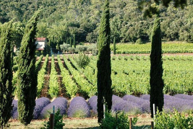 Full-Day Wine Tour around Luberon from Marseille - An In-Depth Look at the Full-Day Luberon Wine Tour