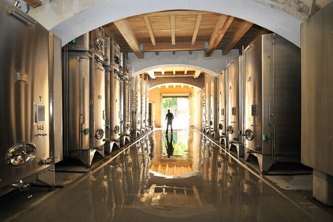 Full-Day Wine Tour around Luberon from Marseille - Who Should Consider This Tour?