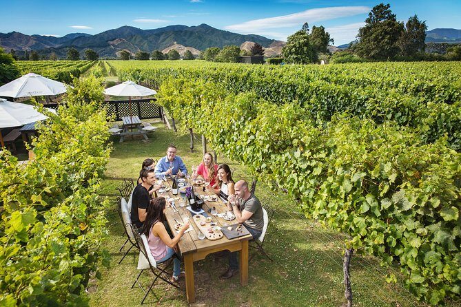 Full-Day Wine Tour from Blenheim - FAQ