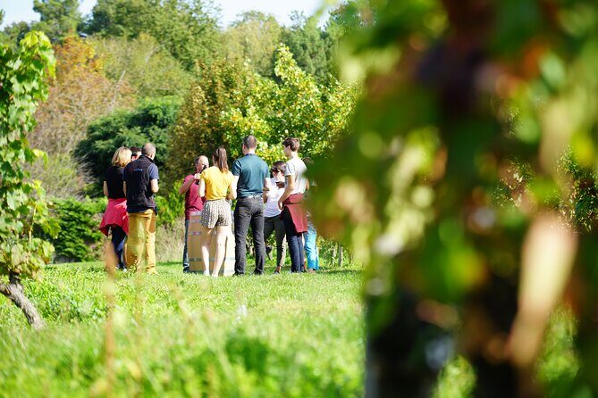 Full Day Wine Tour in Vouvray and Chinon with LUNCH at the winery - A Deep Dive into the Experience