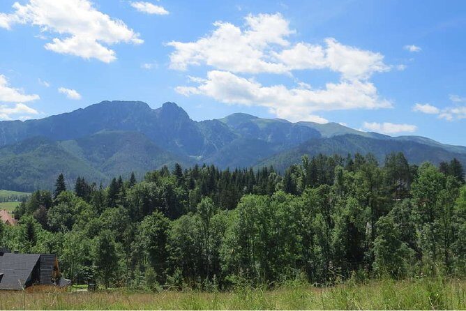 Full-Day Zakopane and Slovakia Treetop Walk From Krakow - Key Points