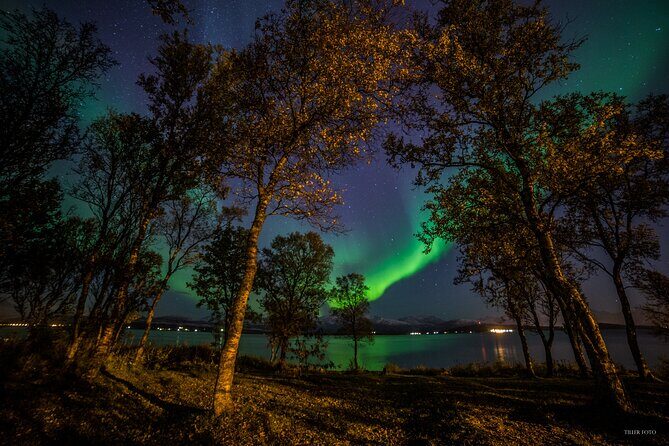 Full Night Magic of the Northern Lights in Tromso - Full Night Magic of the Northern Lights in Tromso: A Detailed Review