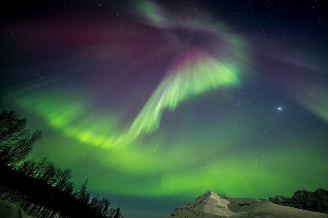 Full Night Magic of the Northern Lights in Tromso - Practical Tips for Travelers