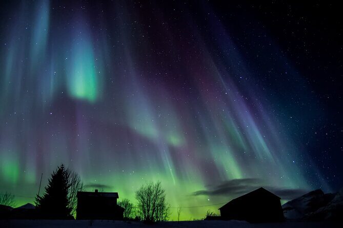 Full Night Magic of the Northern Lights in Tromso - Final Thought