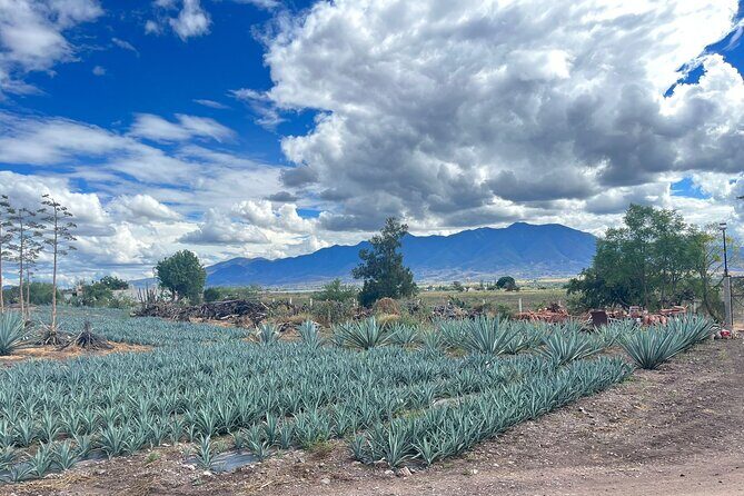 FULL Oaxaca Experience (Small Groups) - FAQ