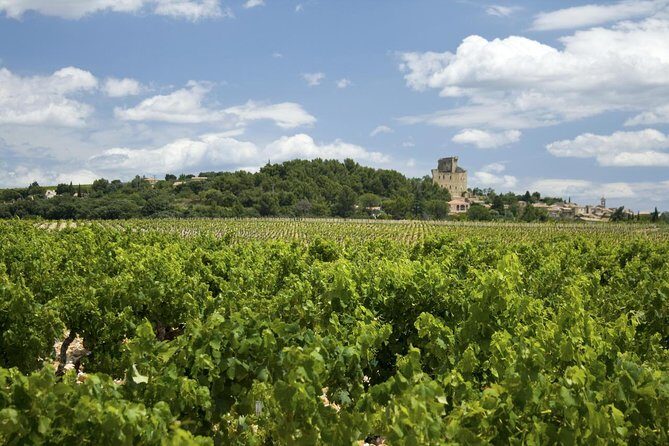 Full private day Avignon Chateuneuf du pape wine tasting - A Closer Look at the Itinerary  