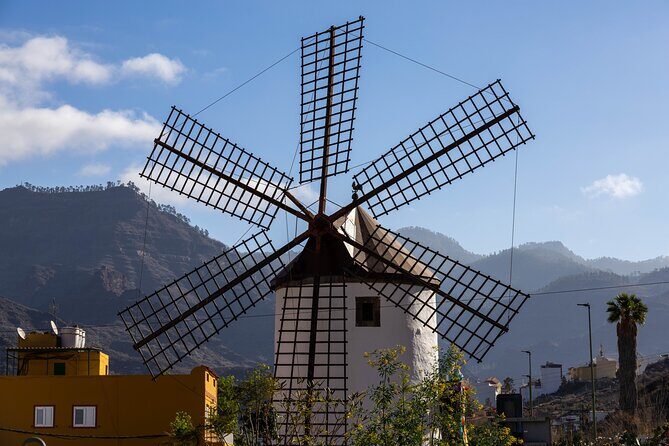 Full Private Tour of Gran Canaria with Natural Pools - What Makes This Tour Stand Out