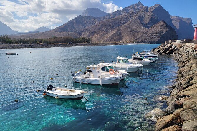 Full Private Tour of Gran Canaria with Natural Pools - Frequently Asked Questions