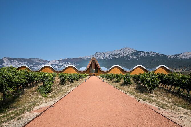 Full Rioja Wine Tour with Lunch from Bilbao Private Tour - An In-Depth Look at the Rioja Wine Tour