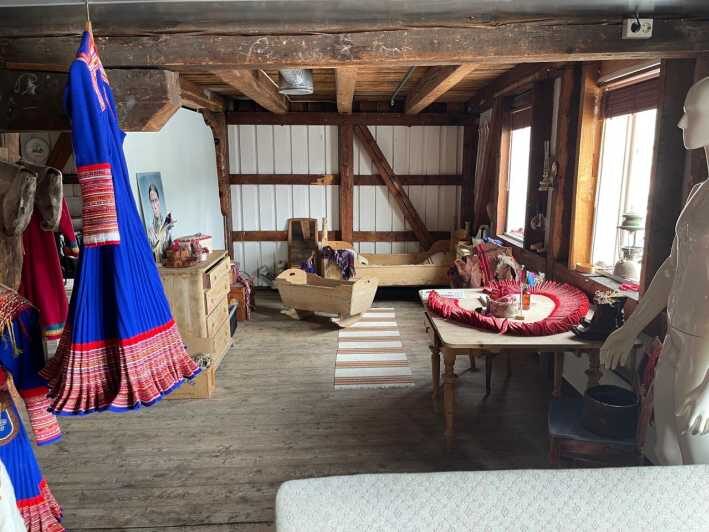 Full steam museum - Guided Sami Culture escursion - Quick intro