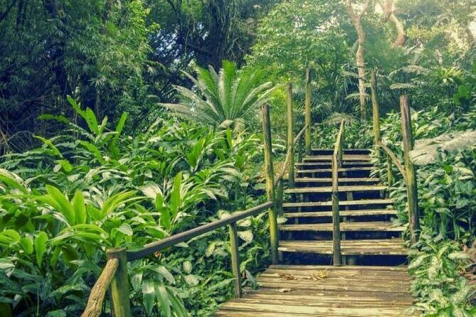 Full-Day-Nadi Private Tour Mudpools,Village,Temple,Garden Ex Coast - Authentic Insights from Reviewers