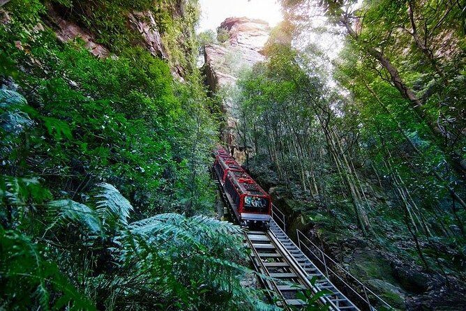 Fully Inclusive Blue Mountains Private Tour inc Scenic World & Featherdale Entry - The Sum Up