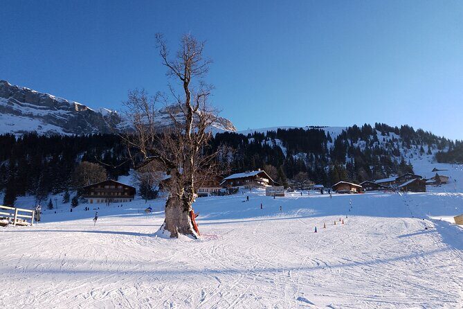 Fully organized Ski Experience for Private Groups - Who Should Book This Experience?