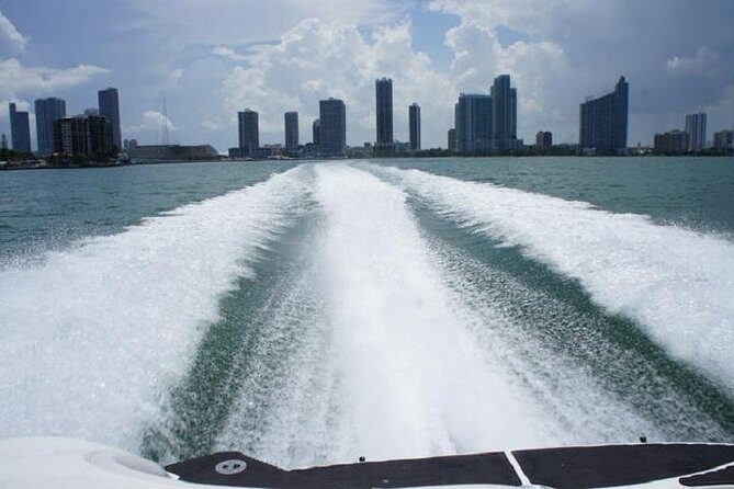 Fully Private Speed Boat Tours, VIP-style Miami Speedboat Tour of Star Island! - Who Should Book This Tour?