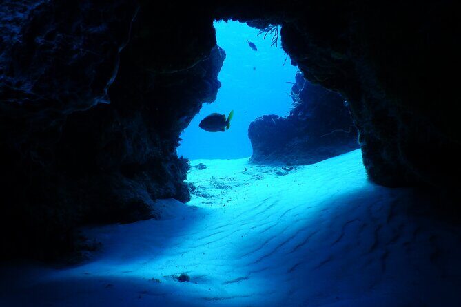 Fun dives Cozumel south marine park - The Meeting Point and Group Size