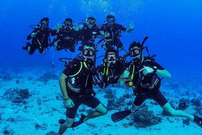 Fun dives Cozumel south marine park - Guides and Safety