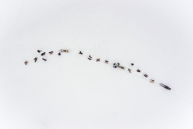 Fun & Easy Dog Sledding Adventure from Tromsø - Early Bird Tour - Final Thoughts