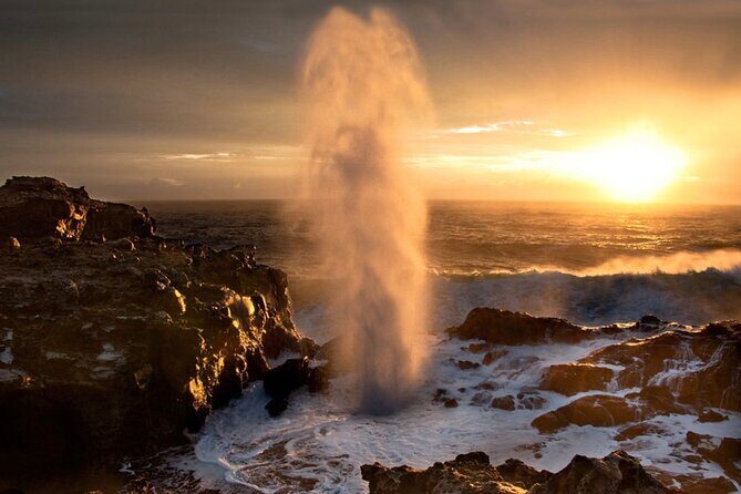 Fun! Open-Air Banyan Tree Forest & Blowhole Sight-Seeing MauiTour - Key Points