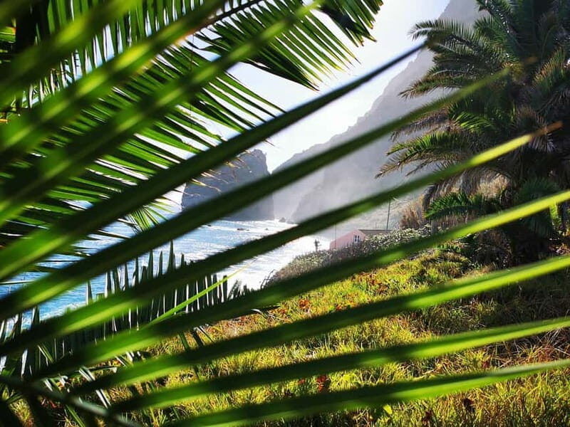 Funchal: 4x4 Jeep Trip to the East and Northeast of Madeira - The Sum Up: Who Will Love This Tour?