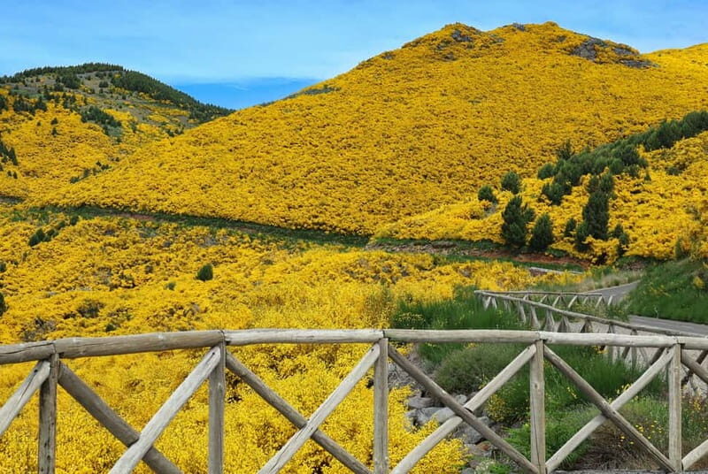 Funchal: 4x4 Jeep Trip to the East and Northeast of Madeira - FAQs