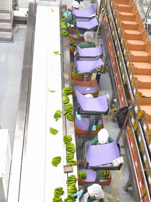 Funchal Agriculture Green Tour - Key Points