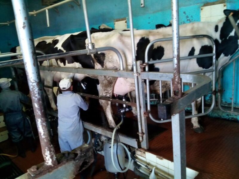 Funchal Agriculture Green Tour - Why This Tour Offers Great Value