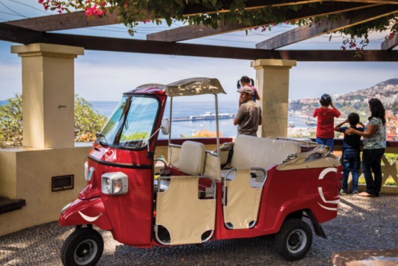 Funchal at Night Private Tour by Tuk Tuk - Key Points