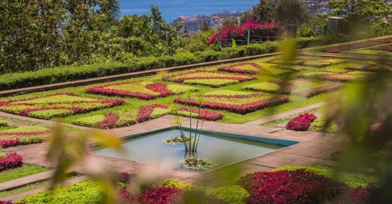 Funchal: Botanical Garden and Old Town Private Tuk-Tuk Tour - Key Points