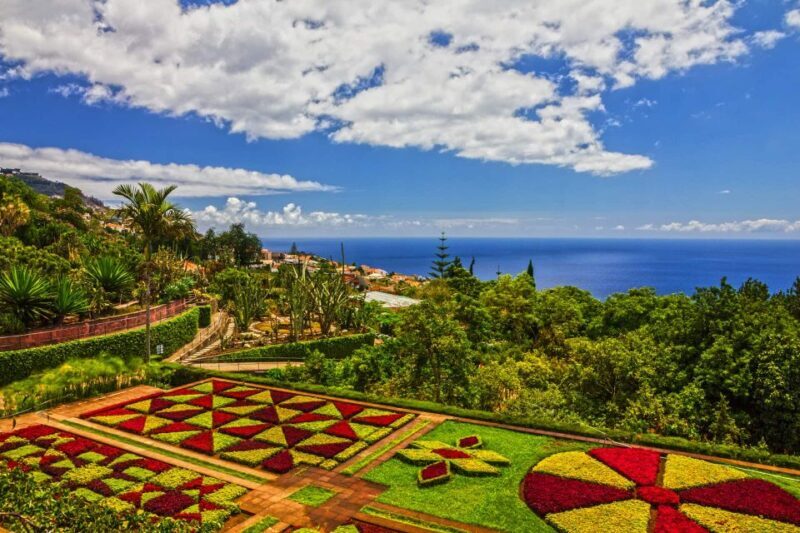 Funchal: Botanical Garden and Old Town Private Tuk-Tuk Tour - An Insider’s Look at the Funchal Tuk-Tuk Experience