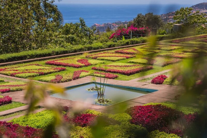 Funchal: Botanical Garden and Old Town Private Tuk-Tuk Tour - The Sum Up