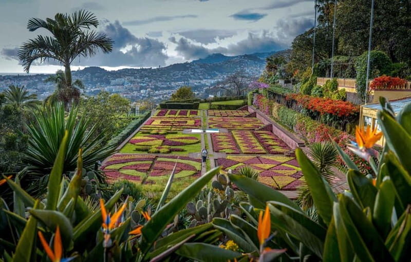 Funchal: Botanical Garden & Old Town Tour by TukTuk (1h45) - A Detailed Look at the Tour Experience