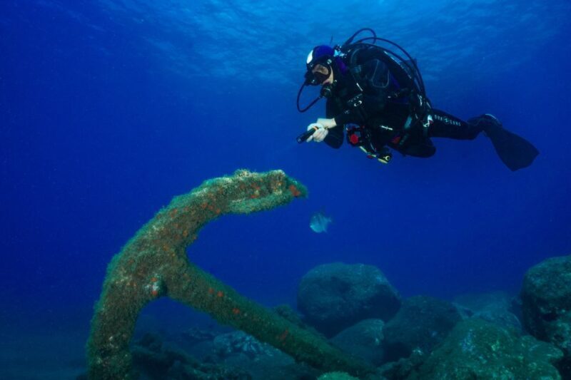 Funchal: Certified Scuba Diving, Guided Tour - Funchal: Certified Scuba Diving, Guided Tour — A Detailed Review