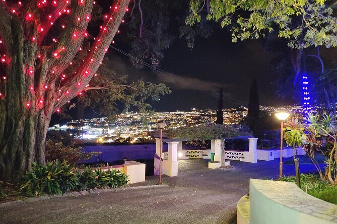 Funchal Christmas lights sightseeing night tour - FAQs