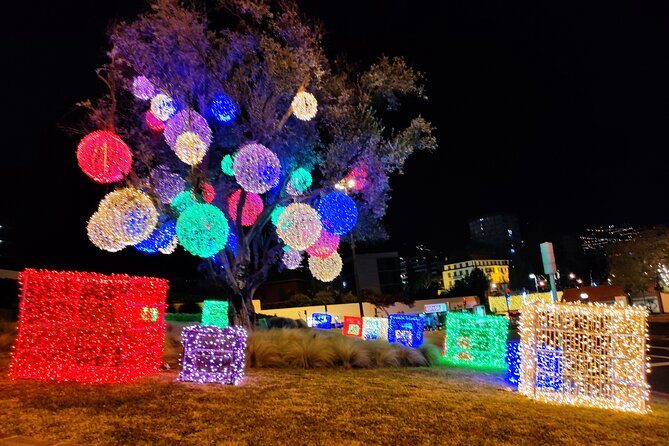 Funchal Christmas lights sightseeing night tour - Final Thoughts