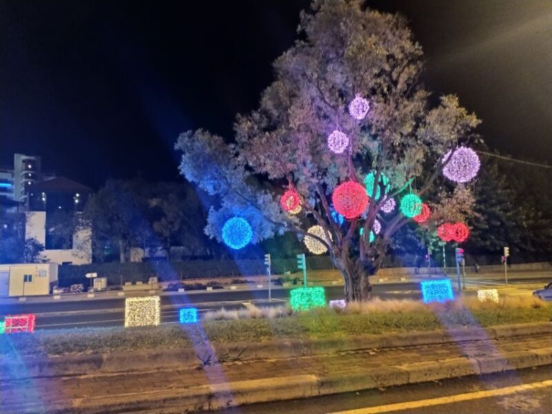 Funchal: Christmas Lights Sightseeing Night Tour - Final Thoughts