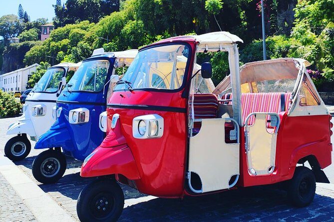 Funchal City Tour + Old Town - Transportation and Group Size