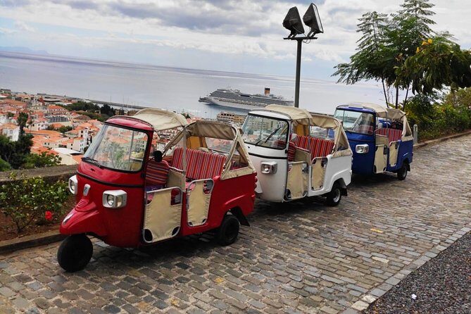 Funchal City Tour + Old Town - Who Is This Tour Best For?